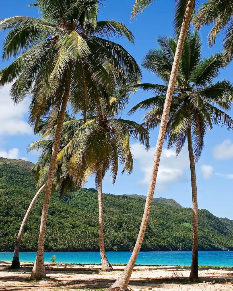 Kenapa Plant-Based? - Junglegold Bali