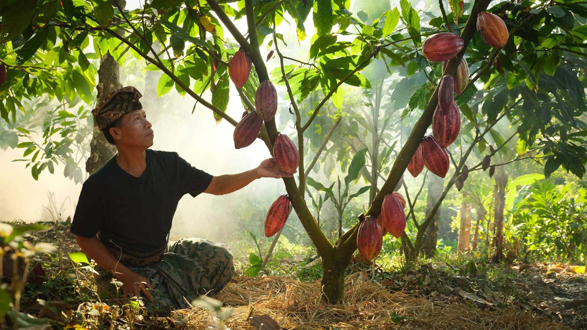 Our Story | Junglegold Bali